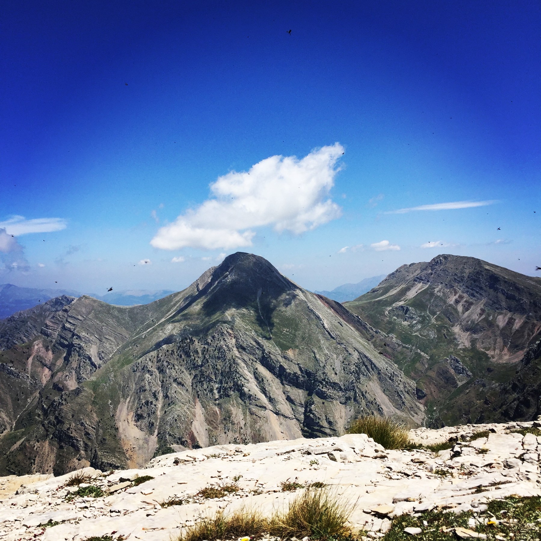 Erymanthos Mountain & River – Olympus Mountaineering