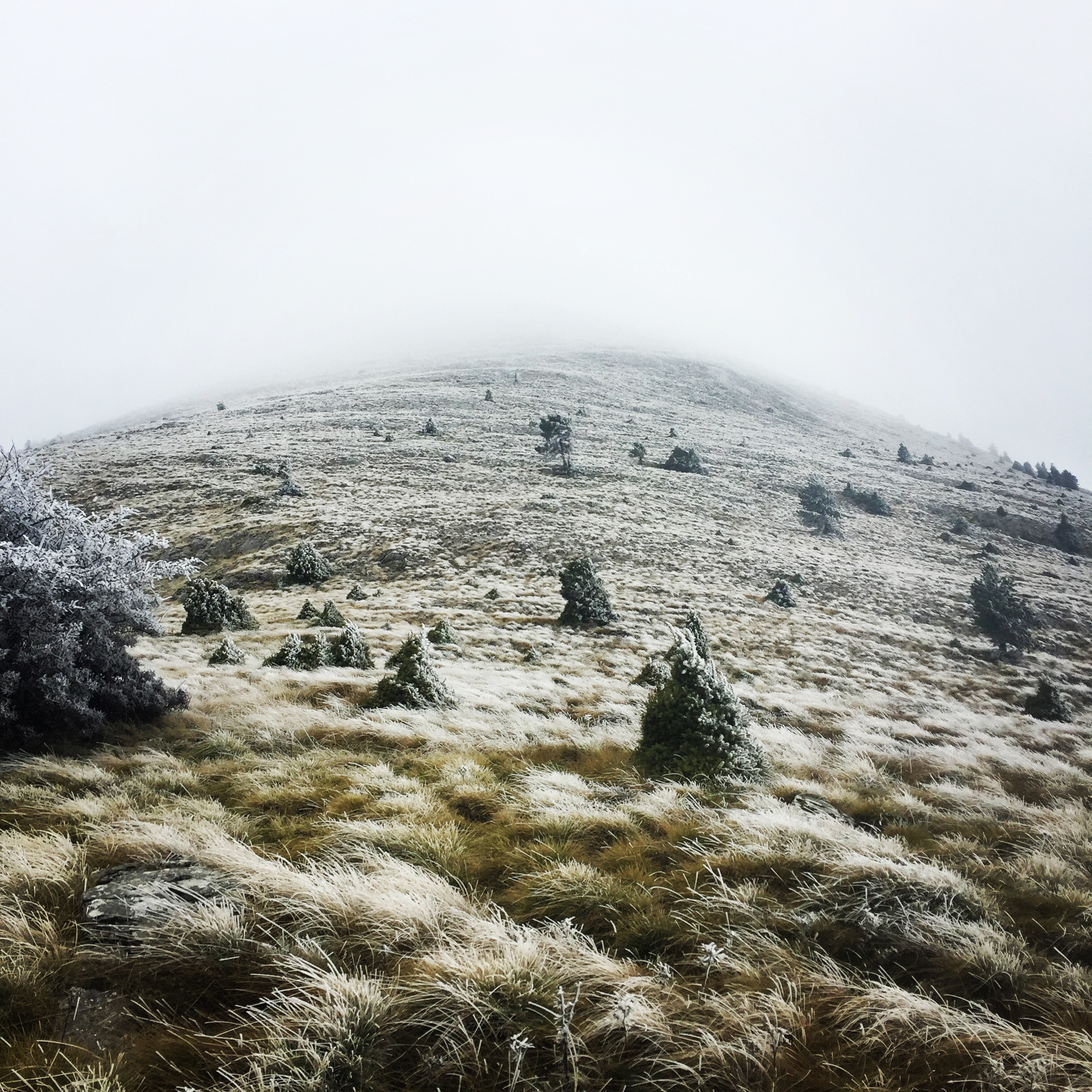 Hiking to the top of Mount Parnonas – Olympus Mountaineering