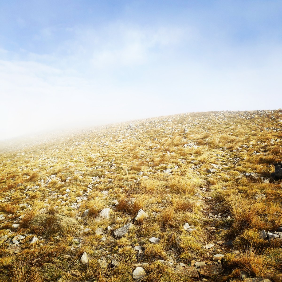 Hiking on Mount Mainalo – Traversing Ostrakina to Mavri Korifi (Black ...