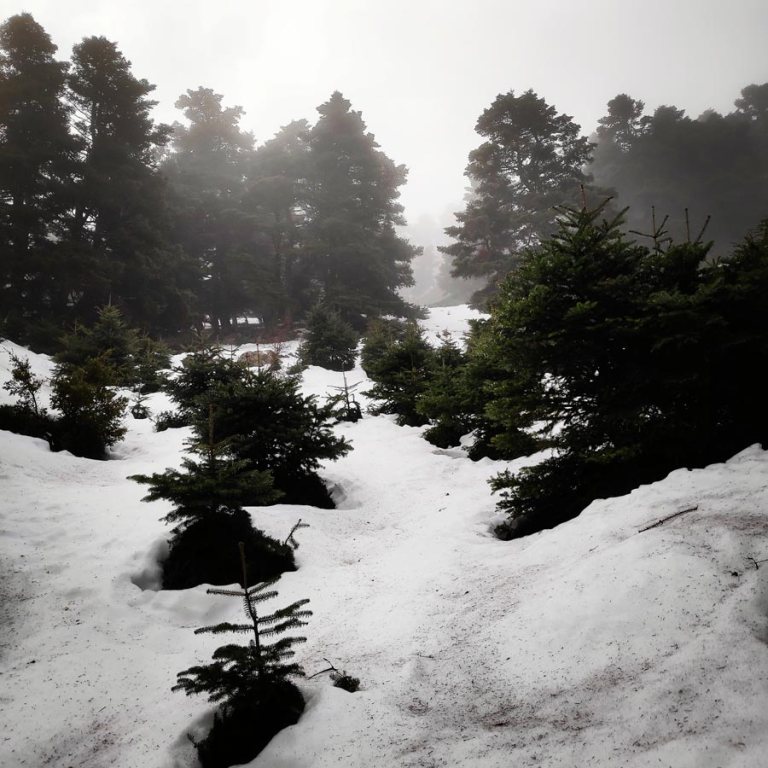 Winter Hike on Mount Helicon (Elikonas) – Olympus Mountaineering