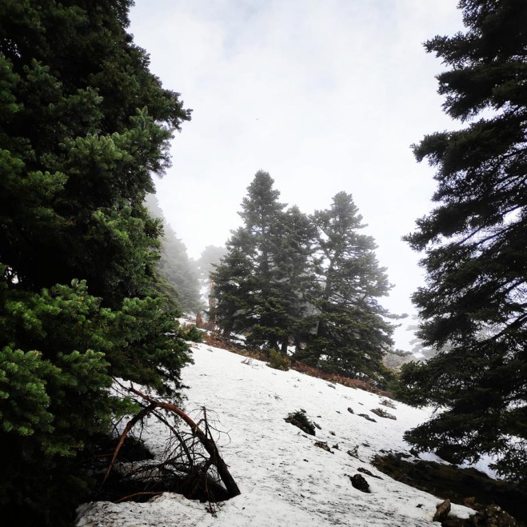 Winter Hike on Mount Helicon (Elikonas) – Olympus Mountaineering