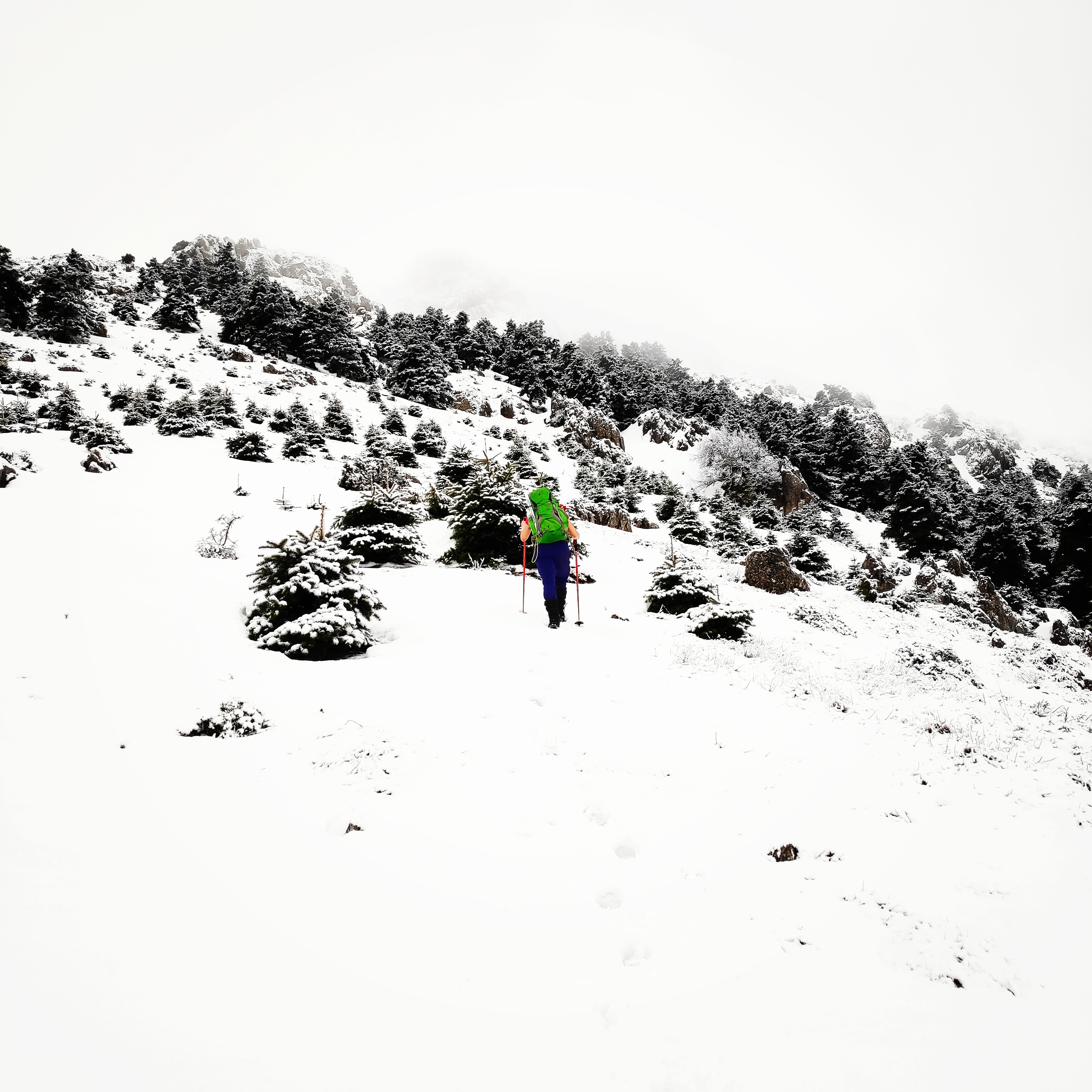 Winter Hike on Mount Helicon (Elikonas) – Olympus Mountaineering