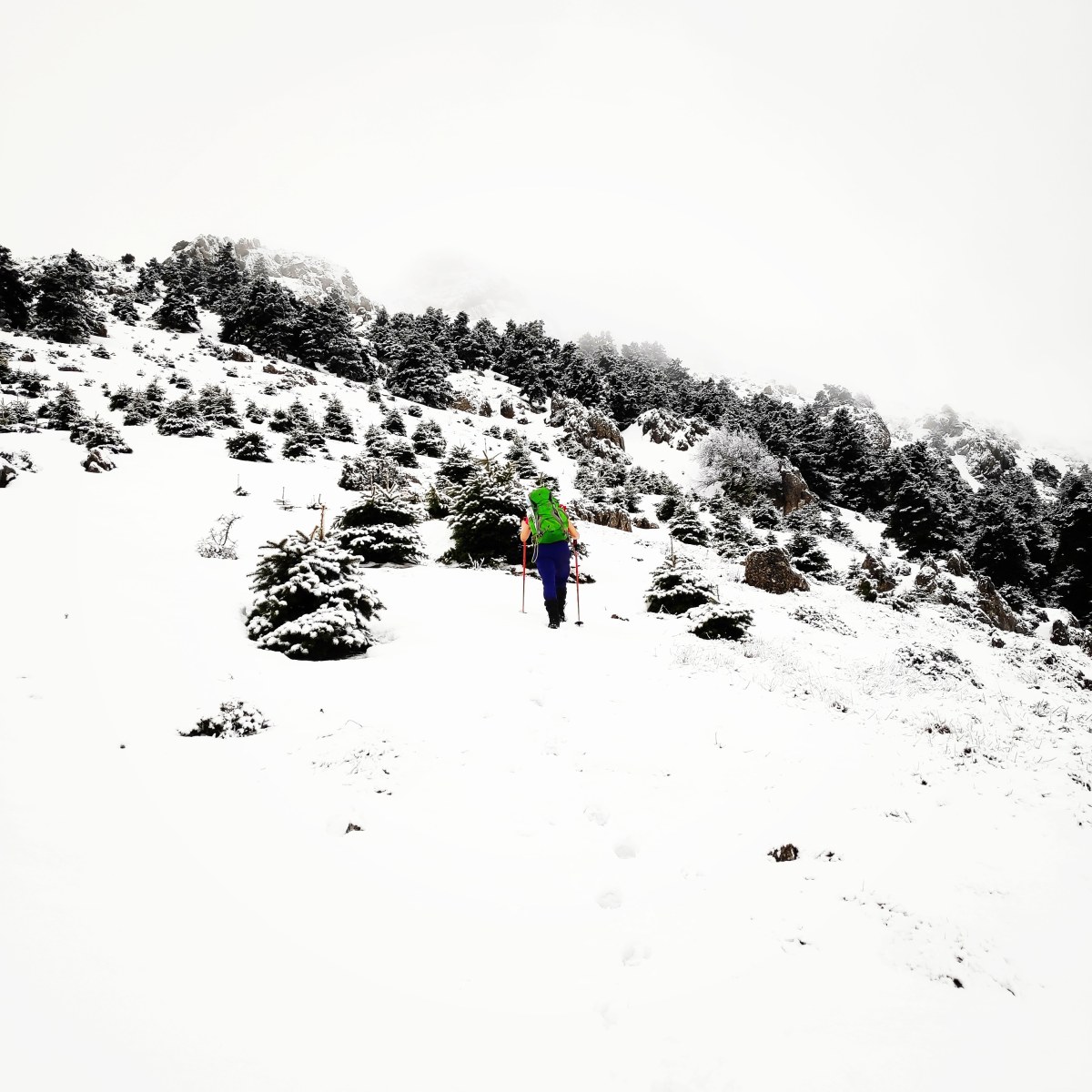 Winter Hike on Mount Helicon (Elikonas) – Olympus Mountaineering