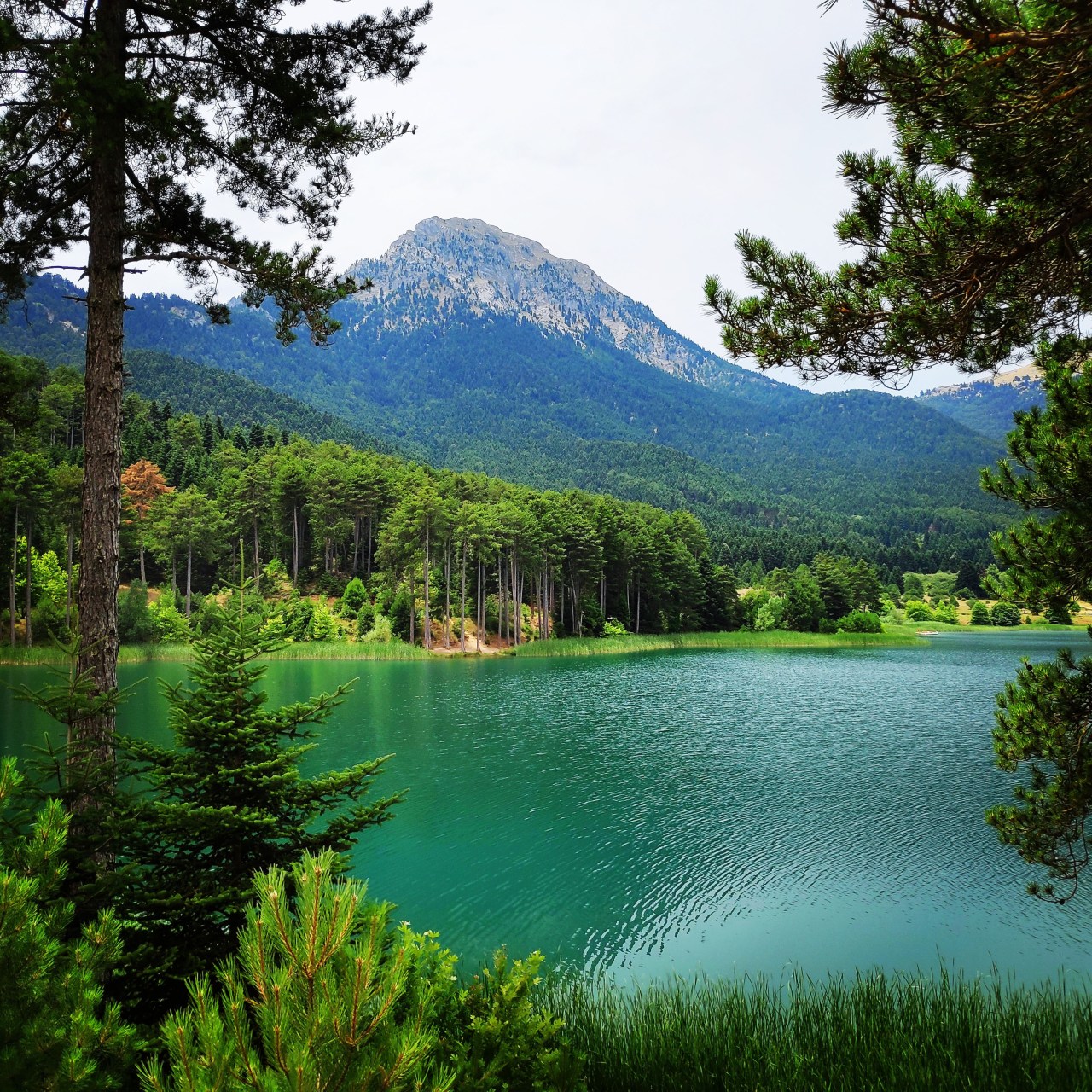 A Family Adventure in Greece: Top 10 Hiking Routes for Nature-Loving ...