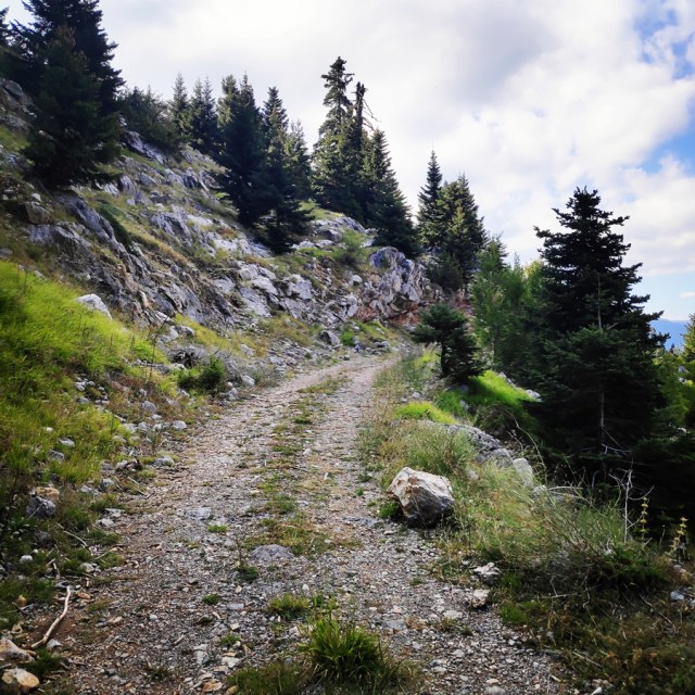 Hiking and Wild Camping on Mount Giona (Mt. Aselinon) – Olympus ...