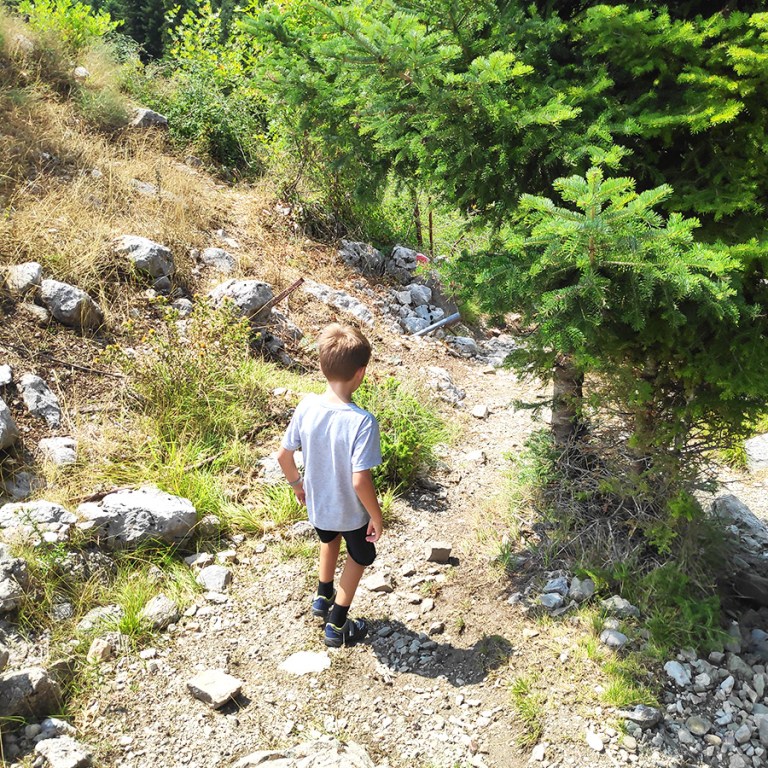 Hiking in Tzoumerka (Athamanika) Theodoriana – Marks Stream – Rema ...