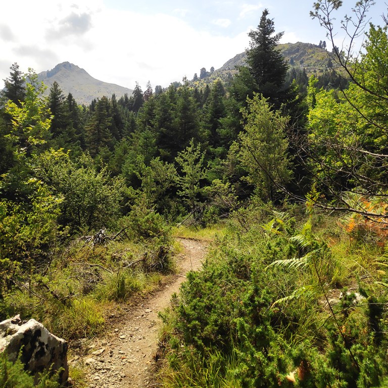 Hiking in Tzoumerka (Athamanika) Theodoriana – Marks Stream – Rema ...