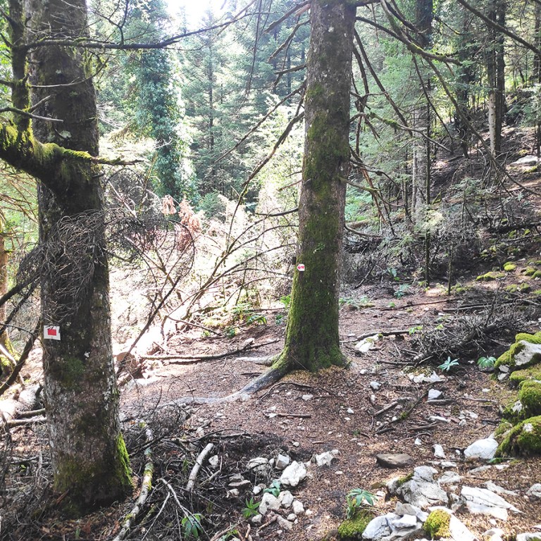 Hiking in Tzoumerka (Athamanika) Theodoriana – Marks Stream – Rema ...