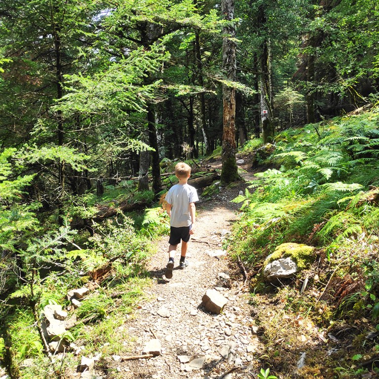 Hiking in Tzoumerka (Athamanika) Theodoriana – Marks Stream – Rema ...