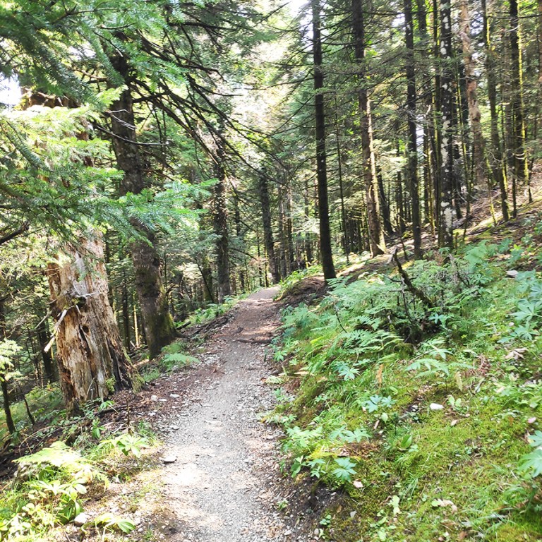 Hiking in Tzoumerka (Athamanika) Theodoriana – Marks Stream – Rema ...