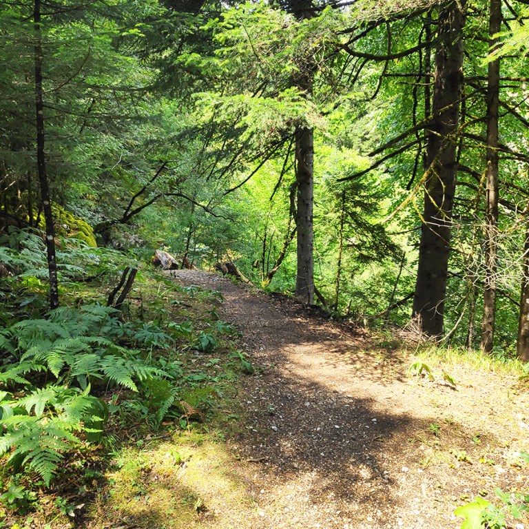 Hiking in Tzoumerka (Athamanika) Theodoriana – Marks Stream – Rema ...