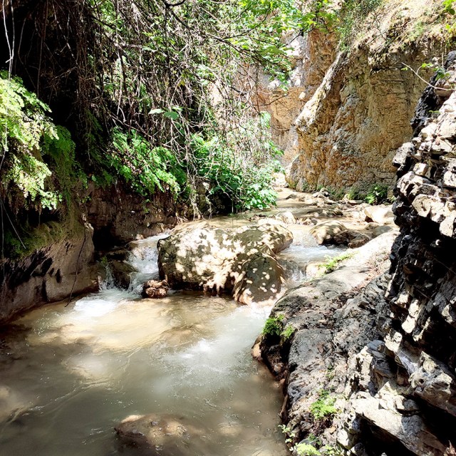 Hiking in Sergoula Gorge and Waterfalls (family friendly) – Olympus ...