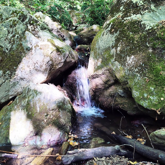 In the Footsteps of Centaurs: A Magical Hike in Portaria, Pelion ...